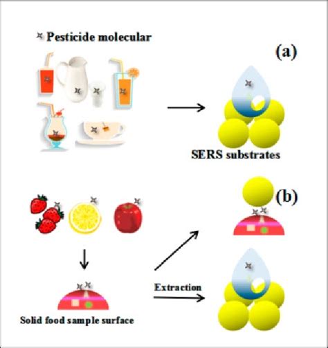 Sers Method In Pesticide Residues Detection A In Liquid And B On Download Scientific