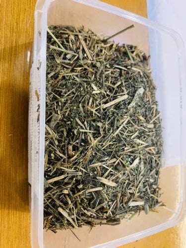 Brown Kalmegh Andrographis Paniculata At ₹ 55 Kg In Howrah Id