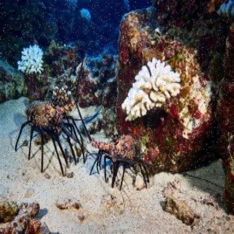 Surge Object Detection Dataset And Pre Trained Model By Surge