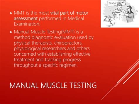 basic concepts of manual muscle testing mmt ppt