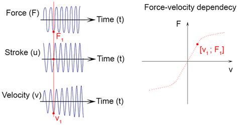 Scheme Of Forcevelocity Dependency Measurement Download Scientific