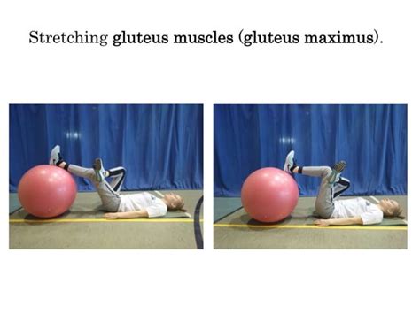 Exercises For Spine Guide 1 Stretching And Mobilization Ppt