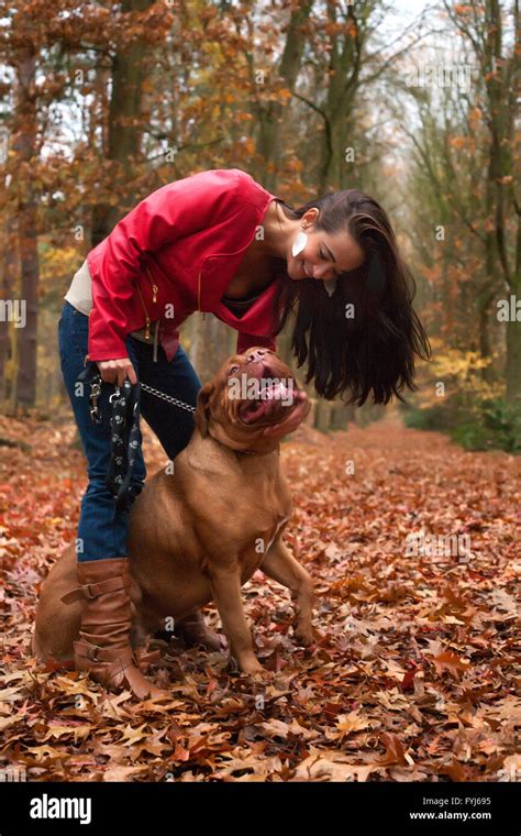 My lovely pet Stock Photo - Alamy