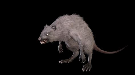 Wererat Game Ready 3d Model By Andryuha1981