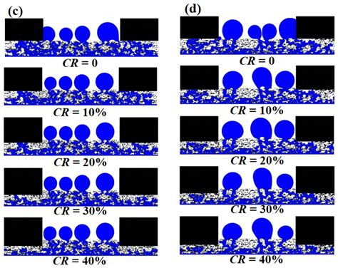Membranes Free Full Text Pore Scale Modeling Of Liquid Water
