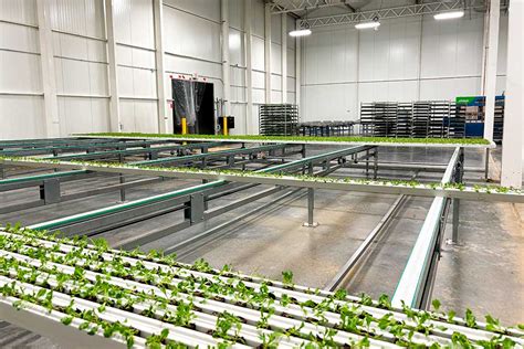 Buffer Lines For Storage Of Gutters That Accelerate The Production