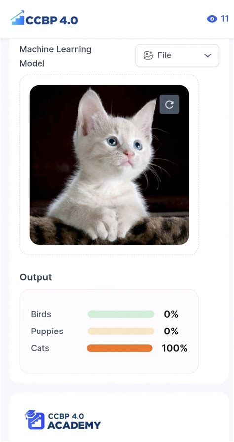 Meenakshi M Kumar On Linkedin Nxtwaveccbp Machinelearning