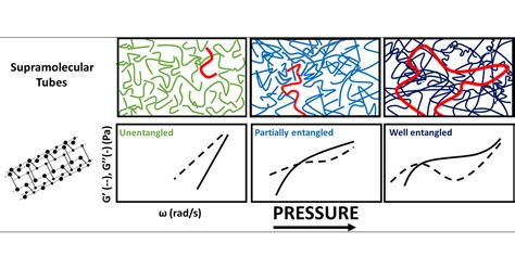 Dynamics And Rheology Of Supramolecular Assemblies At Elevated Pressures The Journal Of
