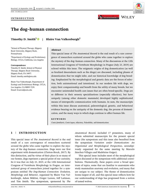 ConecciÓn Perro Humano Ar24534 Pdf Dogs Canidae