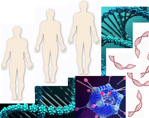 Applications Of Gene Therapy In Treating Molecular Diseases