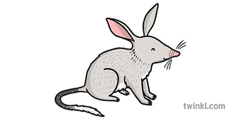 Origins Of The Easter Bunny Teaching Wiki Twinkl Ca