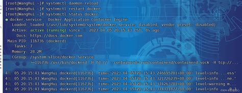 使用docker部署springboot项目（避坑 超级详细版本） csdn博客