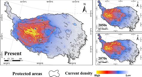 Habitat Connectivity For All Four Ungulate Species Under Current And Download Scientific
