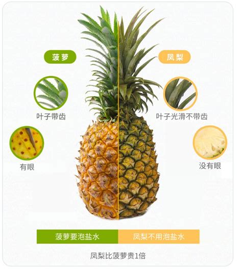 【opencv实战】识别水果的软件叫什么？一款超好用的识别软件分享，一秒鉴定（真是活~久~见~啊）利用opencv检测图像中的多个水果 Csdn博客