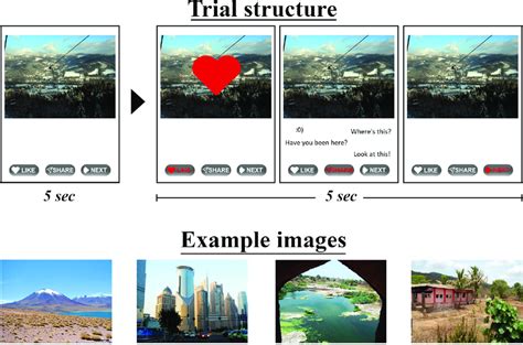The Social Networking Site Behaviour Task Snsbt The Top Row