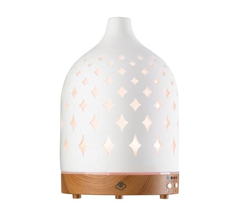 Supernova Diffuser Pottery Barn