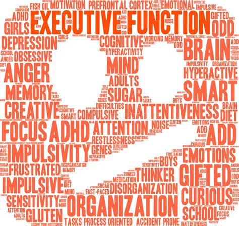 Executive Function Word Cloud Stock Vector Illustration Of