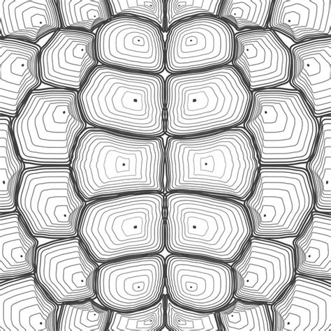 Turtle Shell Vector