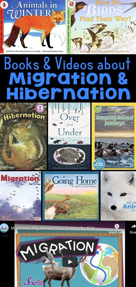 Hibernating Animals List