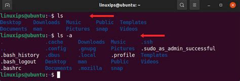 Basic Linux Commands For Beginners Linuxips