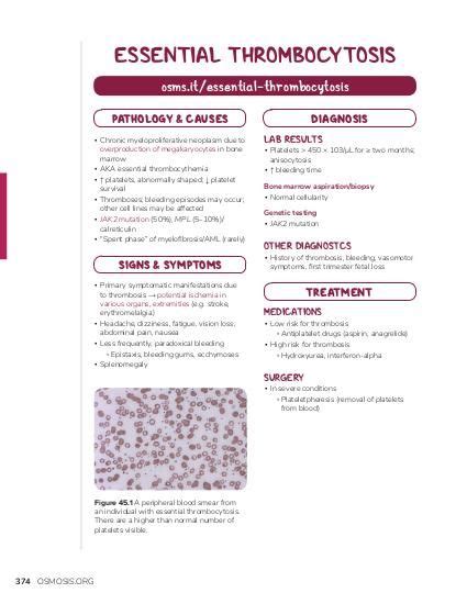 Polycythemia Vera Nord Video Causes And Meaning Osmosis