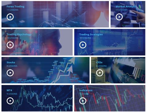 Fxprimus Review 2025 Regulated Broker Focused On Education
