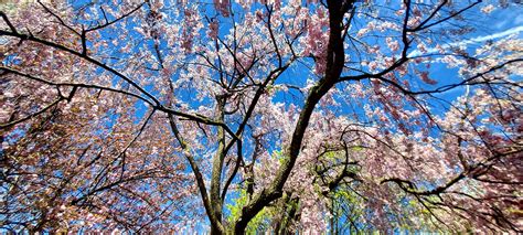 Uncle Eddies Bbq Added A New Photo Uncle Eddies Bbq