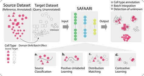 Ai Singlecell Multiomics Ai Singlecell Personaliseddiagnostics