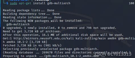 kali2021 4a搭建pwn环境 kali linux 如何执行pwn命令 csdn博客