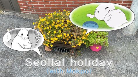 V L O G • 전 사실 제주토박이가 아니거든요 ︎ 고향 방문 ︎ 설날 연휴 브이로그 ︎ 목포 떡갈비 영암식당 ︎ 신안 분재정원 ︎강진 무위사 ︎ 월출산 ︎ Youtube