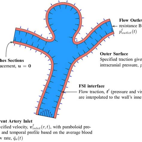 Schematic Two Dimensional 2d Representation Of The Bcs Applied In The