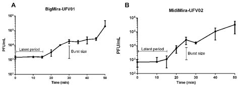 One Step Growth Curves The Initial Phage Titer Was 10 3 Pfuml A