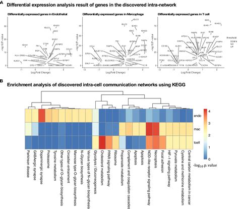 frontiers pathfinder a novel graph transformer model to infer multi