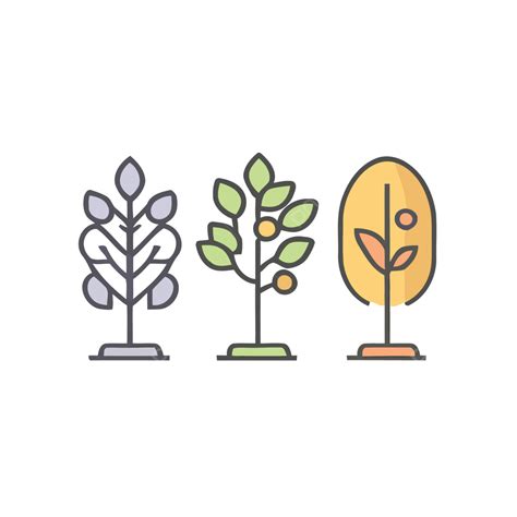 Three Trees Planted On A White Background Vector A Lineal Icon