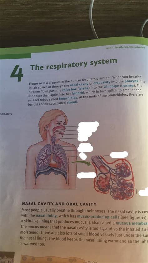 Bio 1 Diagram Quizlet