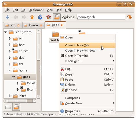 Install Tabbed File Manager In Ubuntu