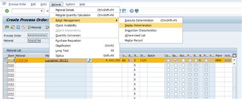 No Batches Proposed In Batch Determination In Proc SAP Community