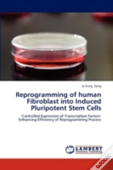 Reprogramming Of Human Fibroblast Into Induced Pluripotent Stem Cells