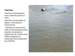 Sedimentary Depositional Environments Pptx