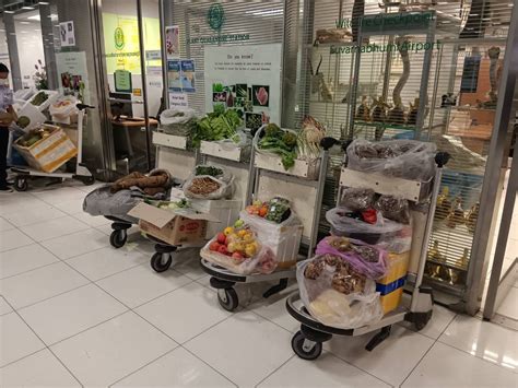 กรมวิชาการเกษตรเตือน นักท่องเที่ยวเทศกาลหยุดยาวเลี่ยงซื้อผลไม้สด ย้ำนำเข้าประเทศต้องมีใบรับรอง