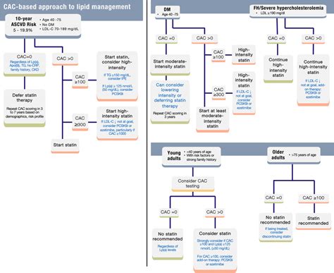 Decision Pathway Of A Cac Based Approach To Lipid Management In This