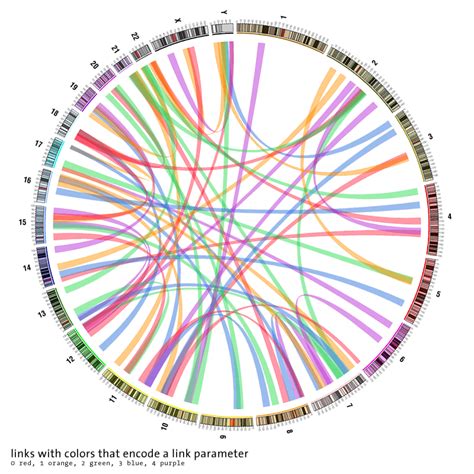 Circos Tutorials Recipes Heat Map Links Circos Circular Genome