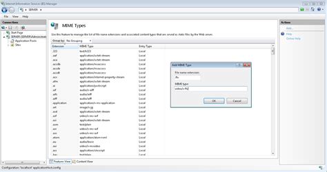 Add Mime Types To Whs 2011
