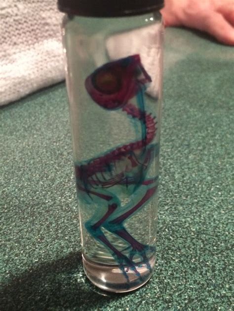 Fucking Creepy Items You Can Actually Own