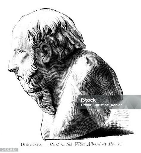 디오게네스의 흉상 그리스 철학자 고대 그리스 역사와 서양 철학 고대 그리스에 대한 스톡 벡터 아트 및 기타 이미지 고대 그리스 고대 그리스 양식 고대 문명 Istock