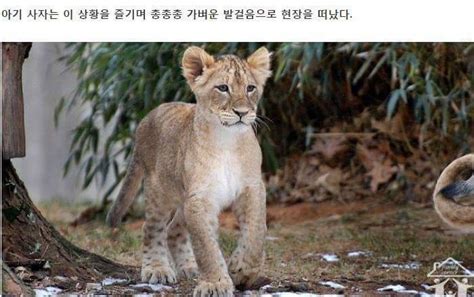 혼나는 아빠 인스티즈 Instiz 이슈 카테고리