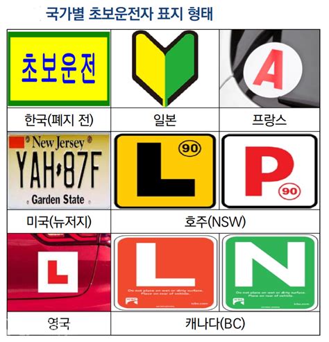 초보운전 표지판 의무화 부활 검토해야