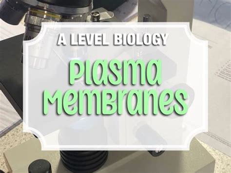 A Level Biology OCR Plasma Membranes Teaching Resources
