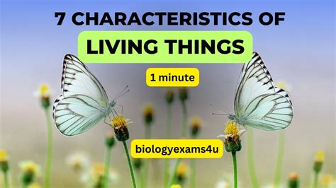 What Are The 7 Characteristics Of Living Things In A Minute Youtube