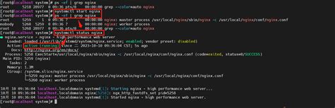 Centos Nginx